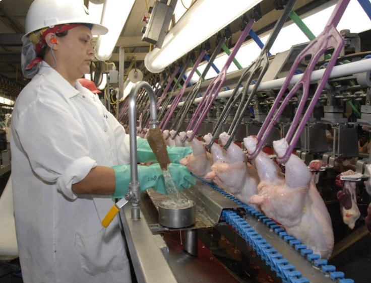 Tell the USDA: Clean Up Our Poultry | Center for Science in the Public ...