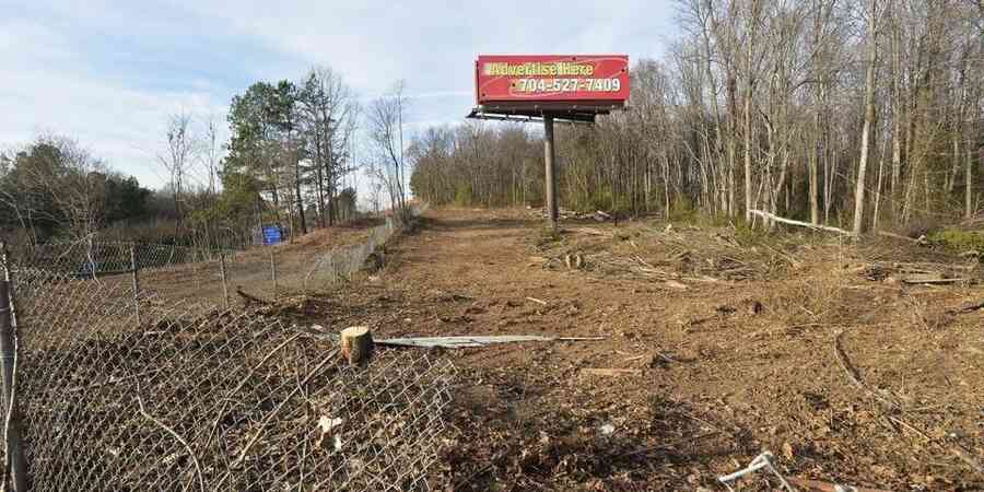 Tell Congress: Protect Our Trees from Cutting for Billboards | Scenic ...