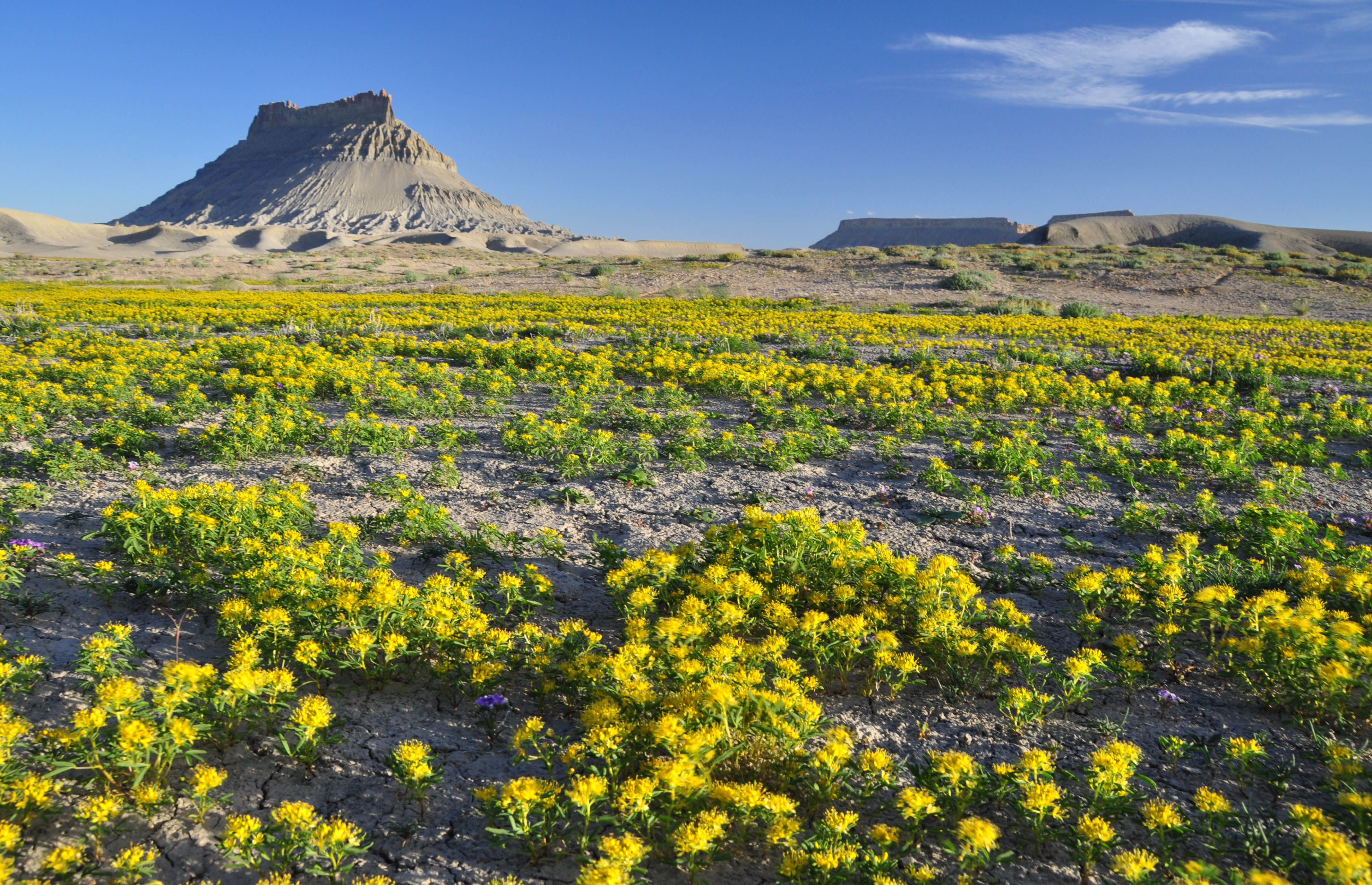 Take Action on America's Red Rock Wilderness Act! | Southern Utah ...